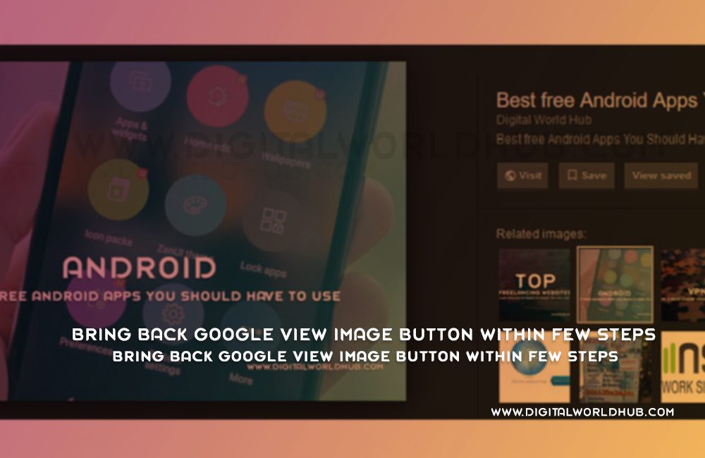 Bring Back Google View Image Button | Digital World Hub