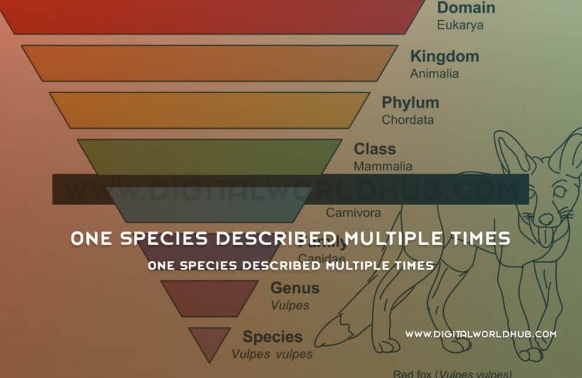 One Species Described Multiple Times | Digital World Hub