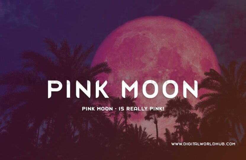 Pink Moon – Is Really Pink? | Digital World Hub